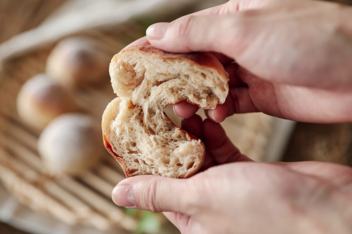 kin-pun｜納豆菌粉｜kin-punとは？