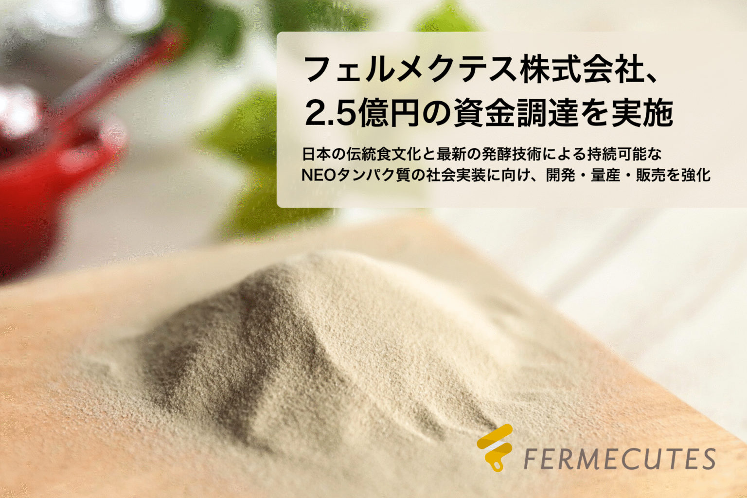 News フェルメクテス株式会社、プレシリーズAラウンドで2.5億円を資金調達 | kin-pun